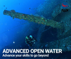 Scuba Diving in India, PADI Scuba Diving Courses